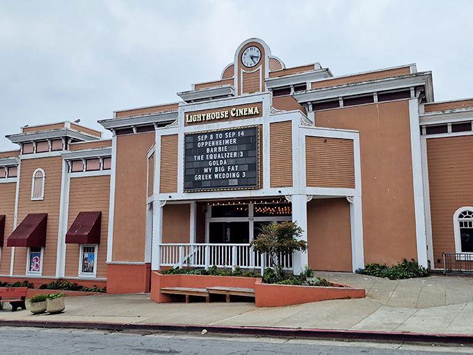 The Lighthouse Cinema proves small-town theaters still exist where you can watch Oscar contenders without taking out a second mortgage for popcorn.