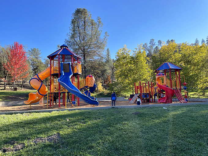 Lions Park playground offers childhood joy with a Sierra backdrop&mdash;because kids deserve better views than mall parking lots during recess.