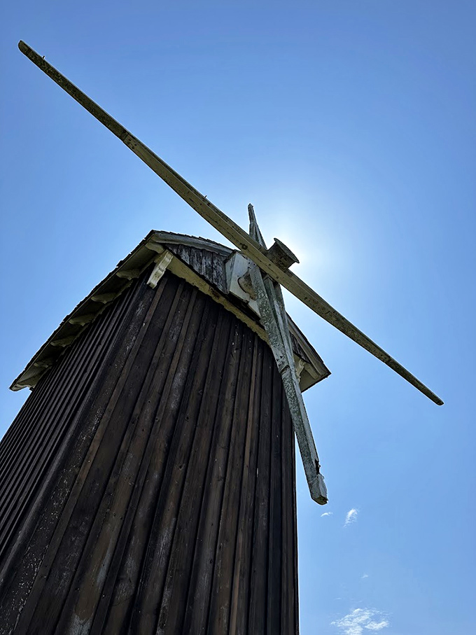 Looking up at this marvel of pre-industrial engineering makes you appreciate a time when "renewable energy" wasn't a buzzword but a way of life. 