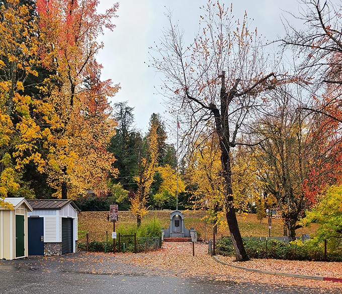 Fall foliage transforms Memorial Park into a painter's palette of amber and crimson&mdash;Mother Nature showing off her seasonal wardrobe change.