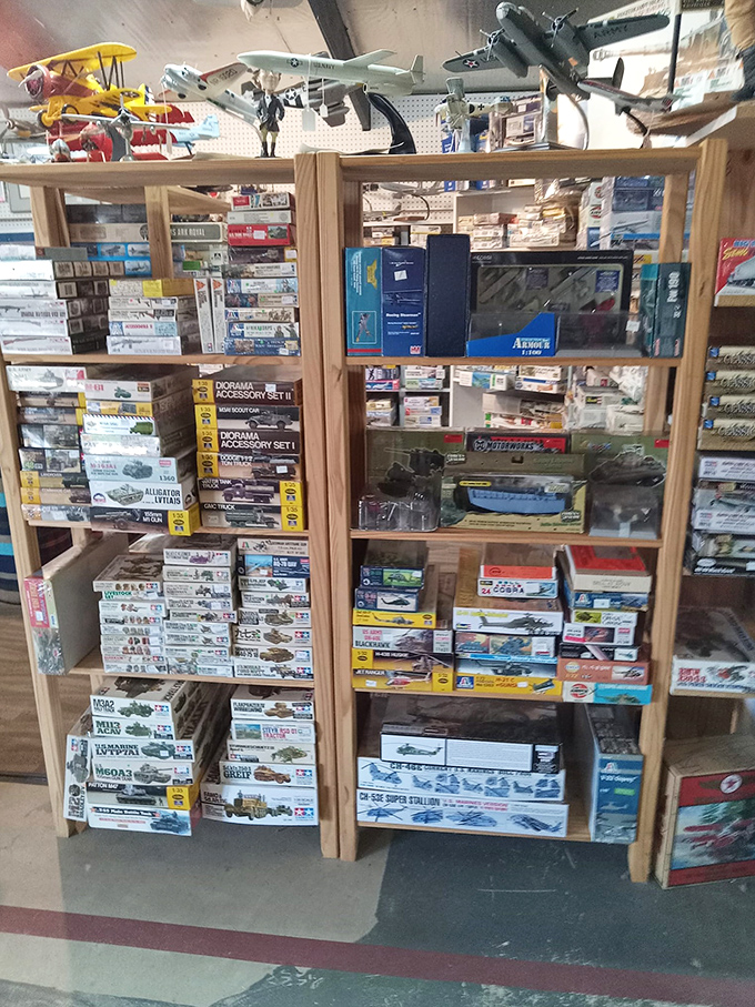 Model heaven! Aviation enthusiasts and military history buffs could lose hours examining these meticulously crafted miniature masterpieces.