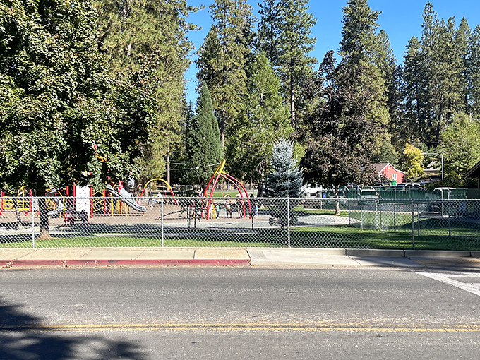 This playground proves Grass Valley understands retirement isn't just about rocking chairs&mdash;it's about grandkids visiting and making memories between pine trees and sunshine.