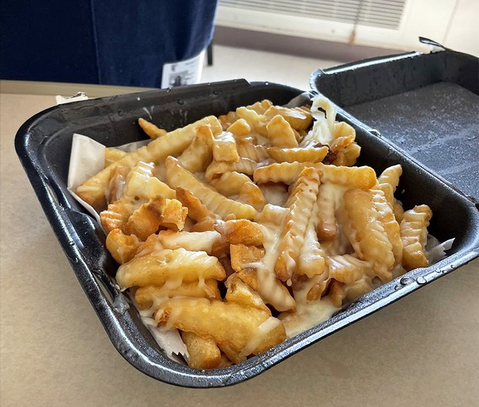 Cheese fries that make you question all other cheese fries you've ever encountered. The kind of indulgence that makes diets weep with jealousy.