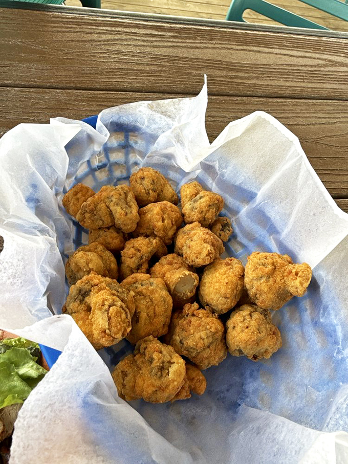 Mushrooms transformed into golden nuggets of joy—proof that sometimes the simplest appetizers create the most memorable first impressions.