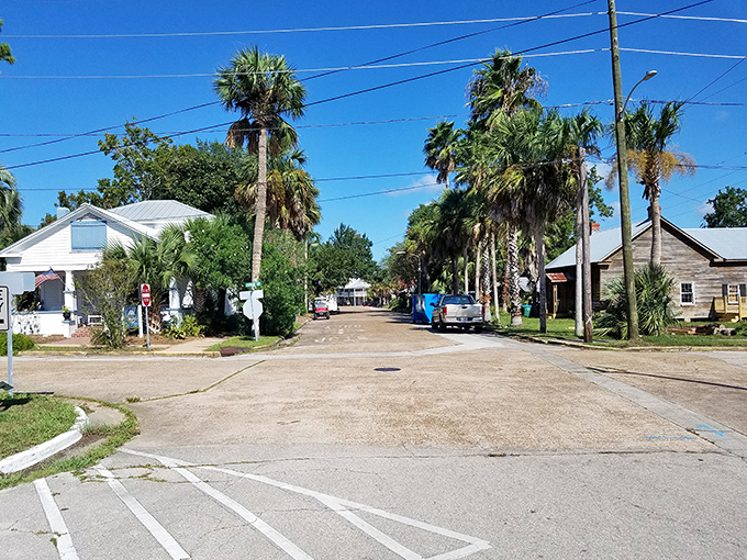 Palm trees stand sentinel over quiet neighborhood streets. Here's where "rush hour" means three cars might pass while you sip your morning coffee.