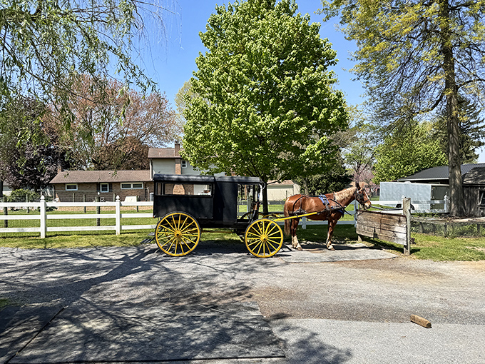 No garage? No problem! This classic Amish buggy with its sunshine-yellow wheels makes for the ultimate environmentally-friendly commuter vehicle.