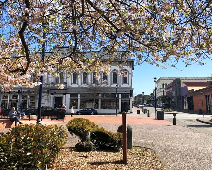 Spring blossoms frame Old Town's historic architecture, where Victorian-era buildings have found new life as galleries, boutiques, and inviting caf&eacute;s.