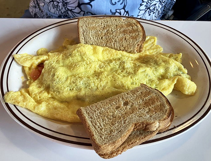 An omelet so fluffy it practically hovers above the plate, flanked by toast standing at attention like delicious golden soldiers.