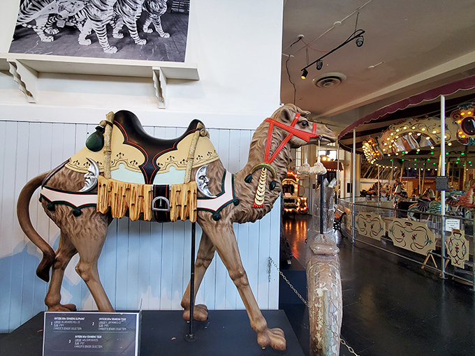 This majestic wooden camel didn't get the "horses only" memo, and thank goodness for that magnificent rebellion.