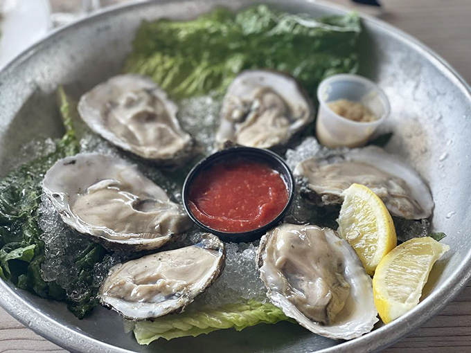 Fresh oysters on ice—nature's perfect appetizer—served with just enough accoutrements to enhance, not mask, their briny perfection.