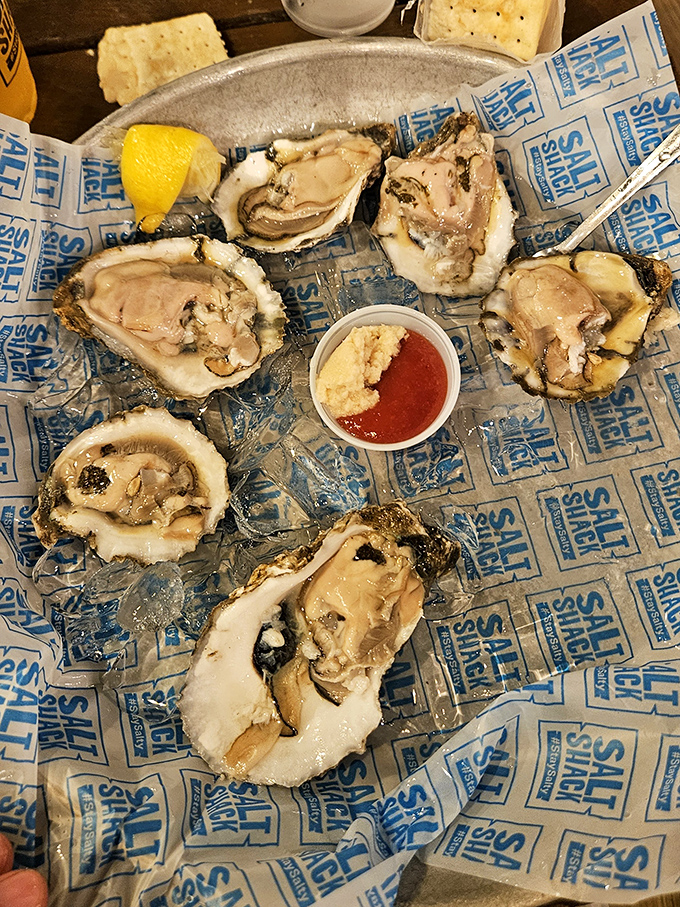 Oysters on the half shell—nature's perfect appetizer. Just add a squeeze of lemon, a dab of cocktail sauce, and good company.