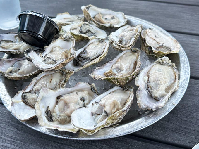 These oysters aren't just seafood&mdash;they're little pools of ocean perfection, waiting to slide down your throat with a whisper of brine.