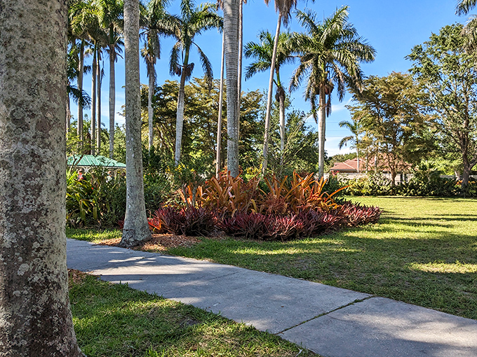 Palm trees standing tall like nature's exclamation points, reminding visitors that yes, you really are in paradise.