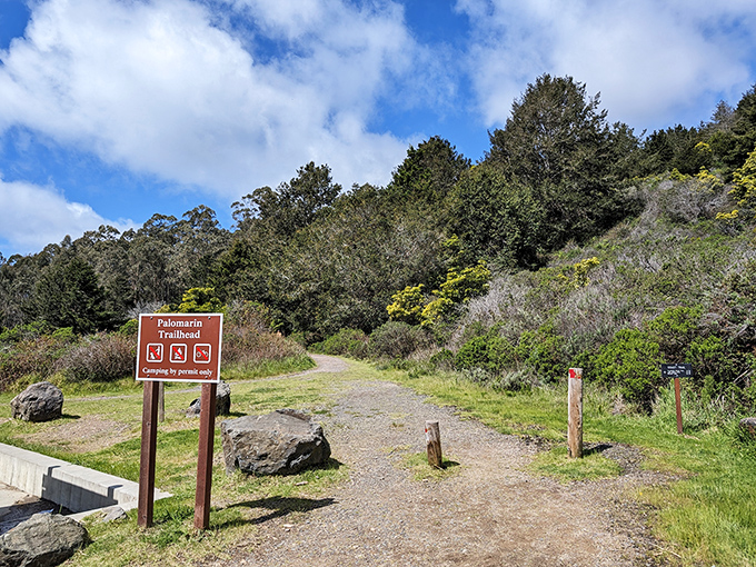 Your gateway to coastal trails where waterfalls meet beaches and reality exceeds your wildest Instagram dreams.