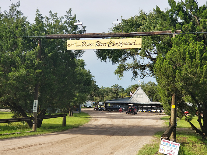 "Welcome to Peace River Campground" &ndash; six words that promise adventure by day and stargazing by night.