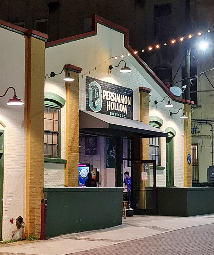 Persimmon Hollow Brewing Co. glows with invitation at night. Craft beer paradise where string lights and good conversation flow as freely as the taps.