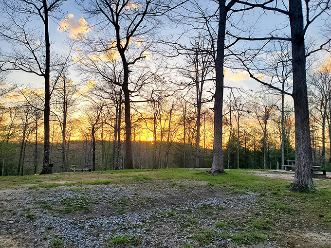 Autumn here doesn't just change colors; it puts on a full theatrical production worth applauding.