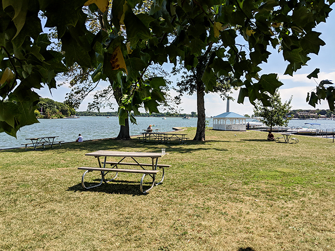 Picnic tables positioned by park planners who clearly understood the assignment: maximum view, minimum distraction, perfect digestion.