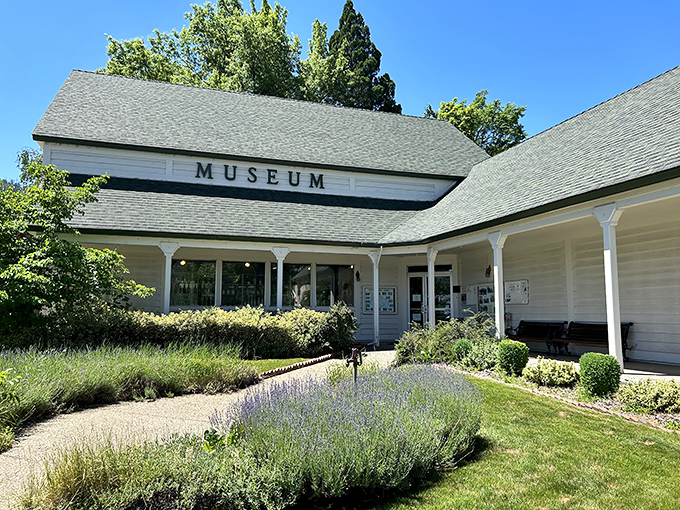 The Plumas County Museum doesn't just preserve history&mdash;it tells stories with the kind of character Hollywood tries desperately to recreate but never quite captures.