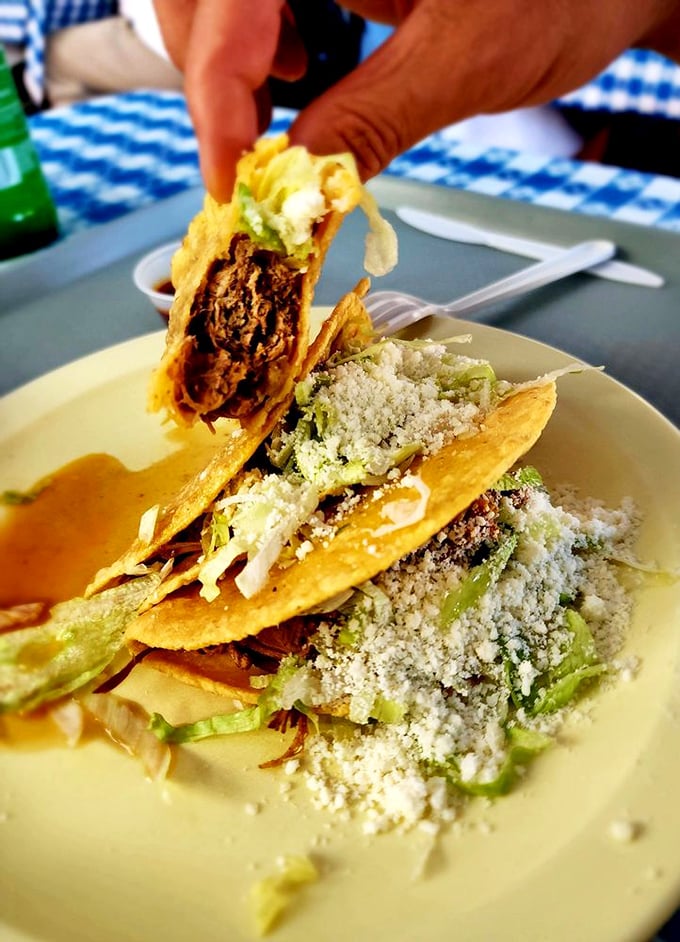 Tacos so authentic they could run for office in Mexico. The hand-pressed tortillas cradle perfectly seasoned meat like it's precious cargo&mdash;because it is.