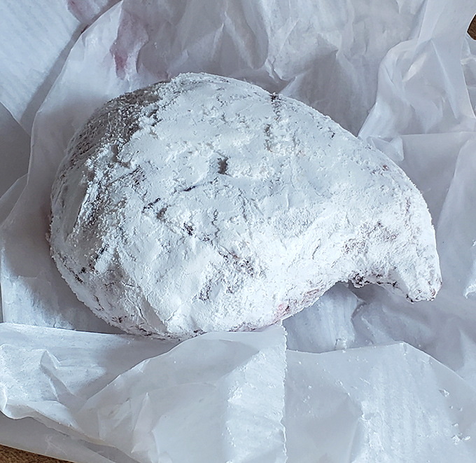 Powdered sugar clouds these jelly-filled gems like fresh snow on Christmas morning - pure childhood magic captured.
