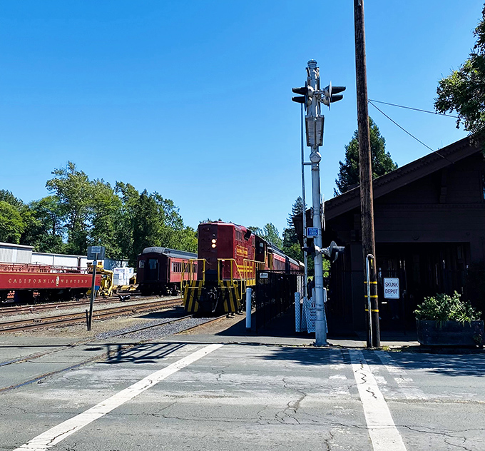 Where railroad meets road, this crossing serves as a reminder that sometimes the most rewarding journeys require us to pause and let tradition pass by.