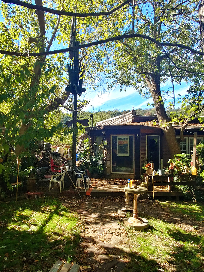 Rainmaker Art Studio showcases local creativity that transforms ordinary materials into extraordinary expressions of southern Illinois spirit.