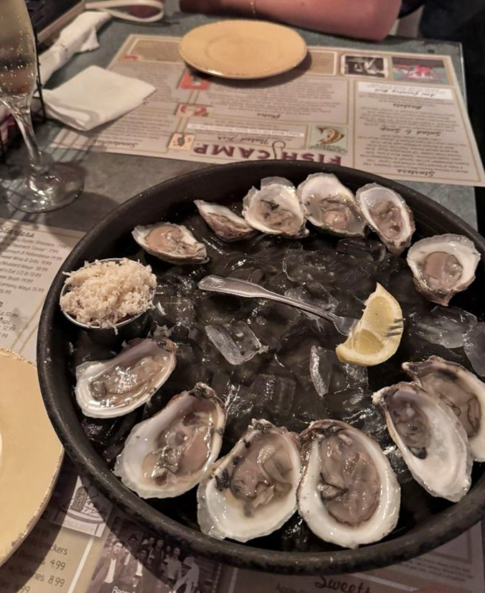 A platter of oysters that tastes like the ocean decided to send its finest representatives to your table.