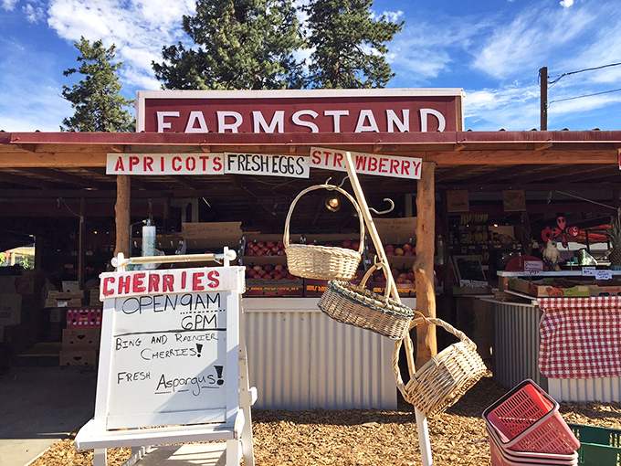 A farmstand that makes supermarket produce sections look like sad imposters. Those handwritten signs aren't quaint marketing&mdash;they're genuine farmer-to-table communication.
