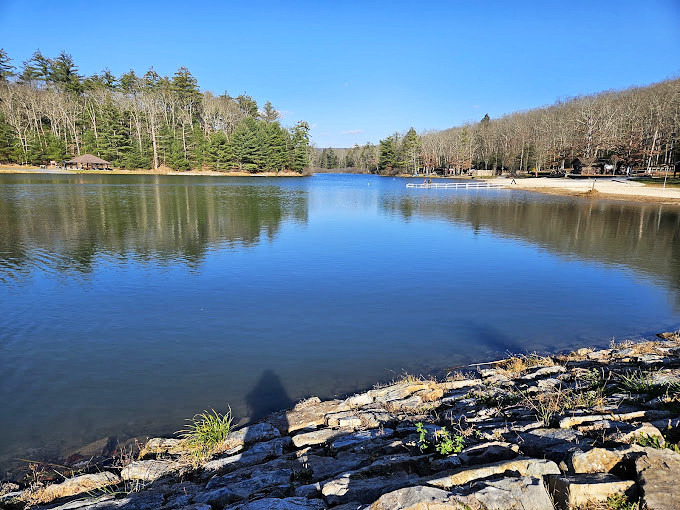 Morning light dances across the still waters, creating that rare moment when you can actually hear yourself think.