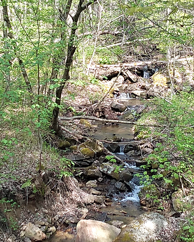 Hidden streams cascade through rocky passages, creating nature's version of a symphony. No tickets required, standing ovations welcome.