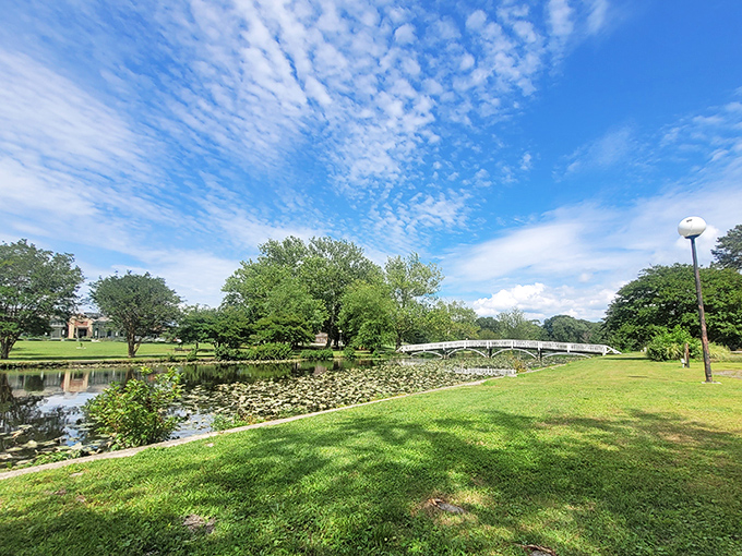 Salisbury City Park's playground equipment looks sturdy enough to survive even the most energetic grandchildren.