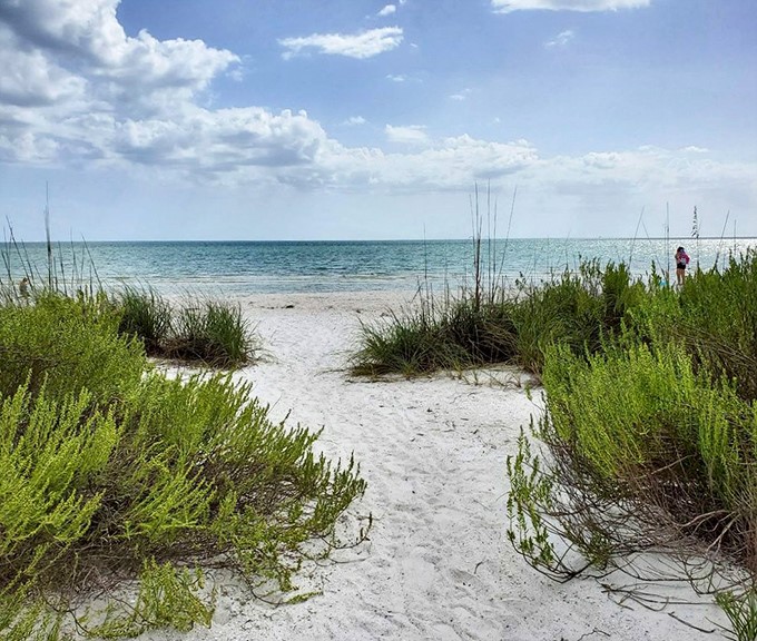 Nature's velvet rope entrance to the Gulf. These dunes aren't just pretty&mdash;they're the beach's first line of defense against storms.