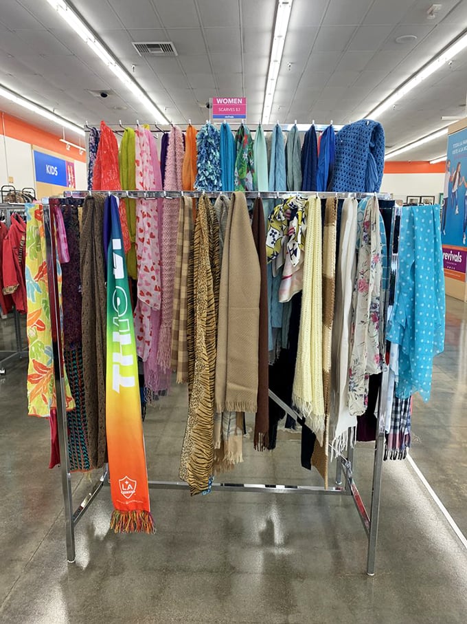 A rainbow of scarves that proves fashion cycles faster than your washing machine. That LA scarf is practically begging for a selfie.