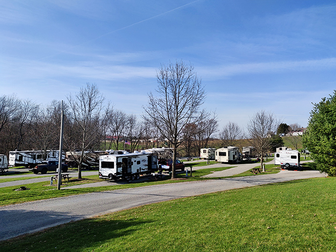 Even modern nomads find peace in Amish Country. The RV park offers contemporary comforts while surrounded by the timeless beauty of Holmes County's countryside.