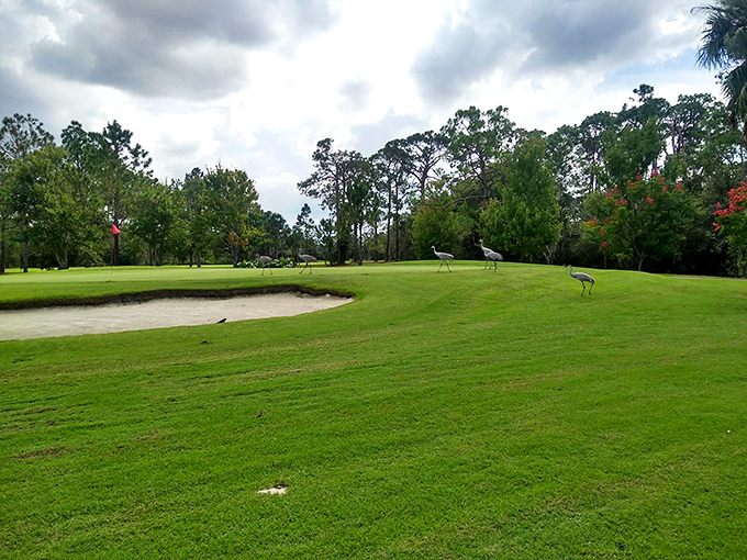 Sebring Municipal Golf Course welcomes both skilled golfers and those of us who consider finding our ball a victory. Those birds are the real pros here.