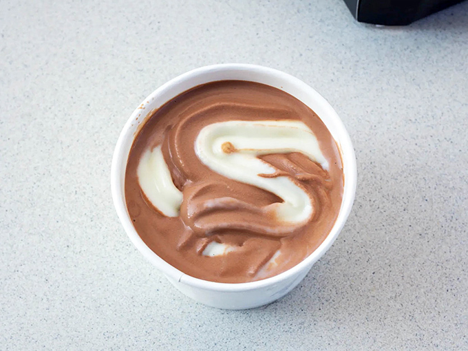 The soft serve swirl is hypnotic &ndash; chocolate and vanilla dancing together in a cup like they're performing a delicious tango.