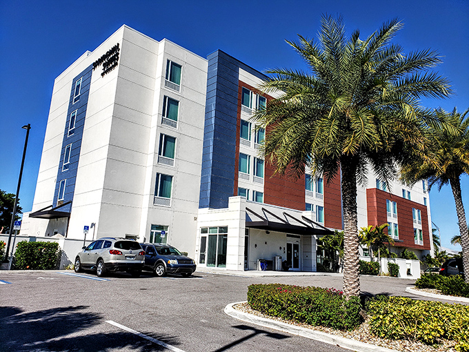 Modern accommodations blend seamlessly with tropical landscaping, offering visitors a comfortable base camp for Punta Gorda explorations without sacrificing style.