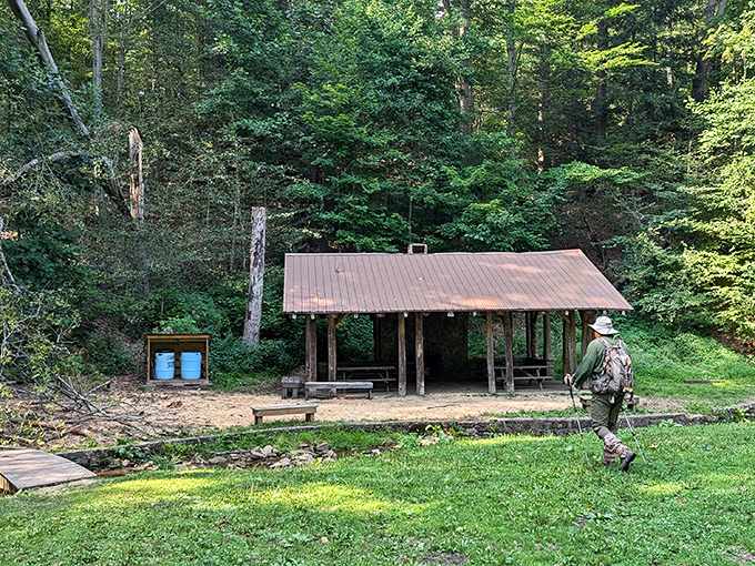 Nature's dining room awaits just minutes from downtown. This rustic pavilion has hosted more family reunions and secret teenage meetups than anyone could possibly count.