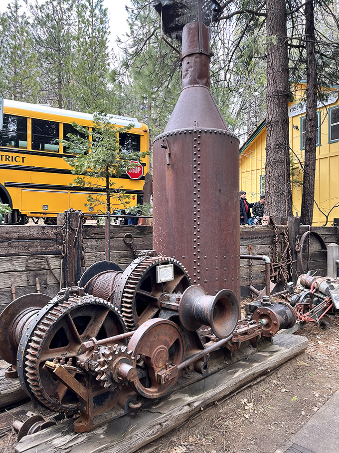 Industrial art or medieval dragon? This antique Steam Donkey once hauled massive logs through impossible terrain before heavy equipment had cup holders.