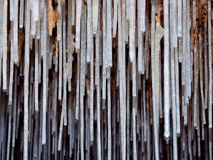 The delicate "Straw Forest" dangles from the ceiling like nature's wind chimes, each hollow tube growing at the glacial pace of one inch per century.