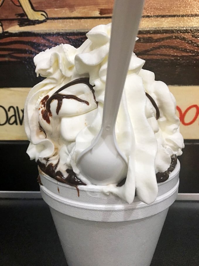 This sundae isn't just dessert, it's a childhood memory in a cup, topped with enough whipped cream to make your cardiologist wince.