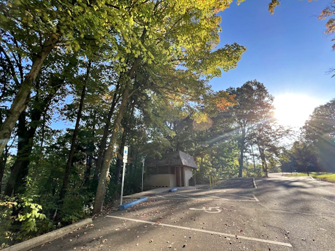 Golden hour magic filters through the trees, turning an ordinary park entrance into a scene worthy of a fantasy film opening.