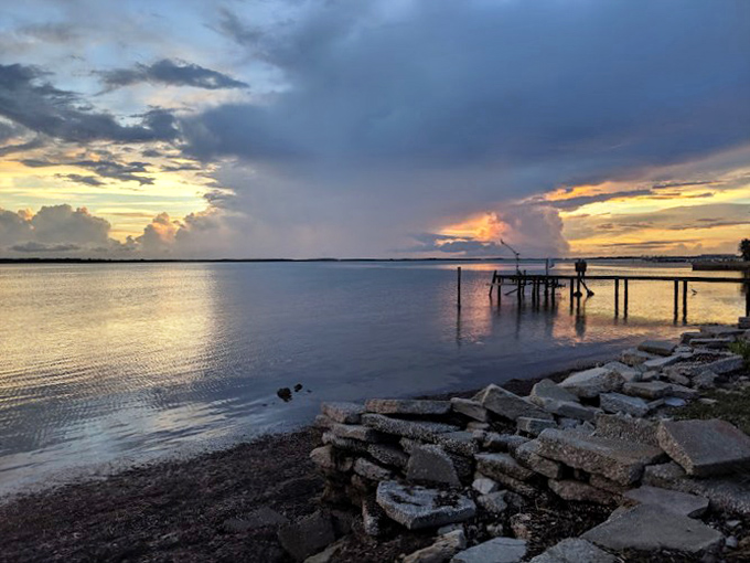 Gulf Coast sunsets perform their nightly magic show, turning Dunedin's waterfront into a canvas of oranges and purples that would make even Monet jealous.