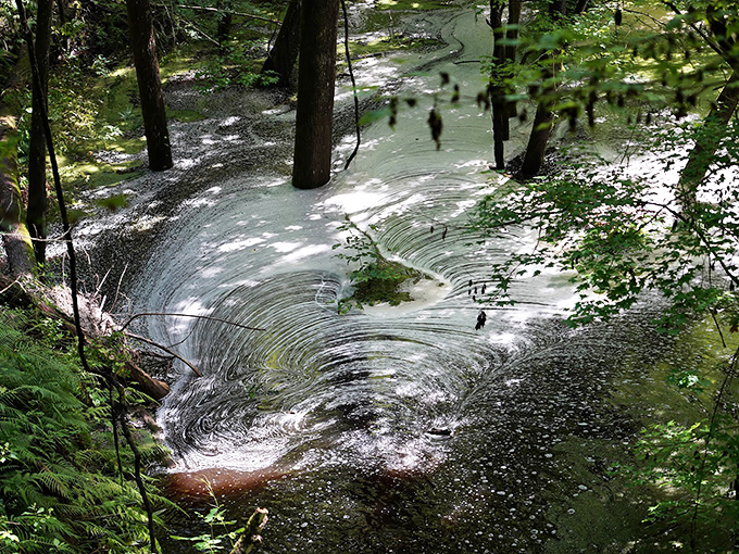 Nature's latte art in action. The swirling patterns in this small stream create mesmerizing designs that would make any barista jealous.