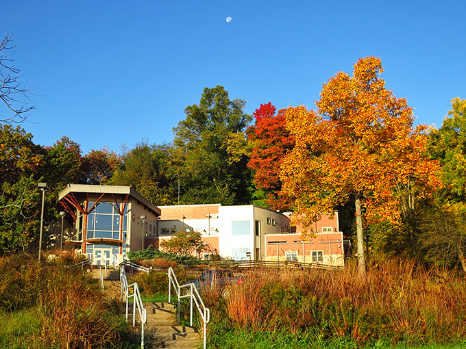 Modern architecture nestled among autumn foliage at The Wilderness Center. Nature and human design finding harmony like chocolate and peanut butter&mdash;unexpected but perfect together. 