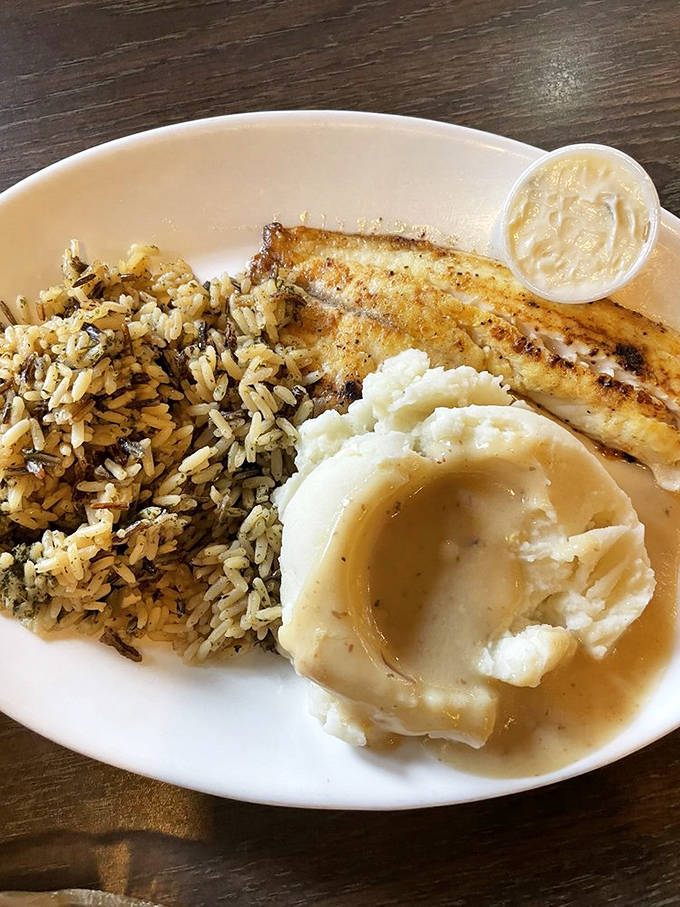 Fish that doesn't taste like it's trying too hard. Perfectly grilled tilapia with wild rice and mashed potatoes – simplicity that speaks volumes.