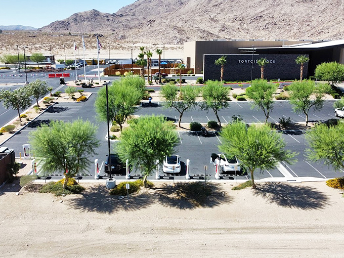 Tortoise Rock Casino promises desert nights with neon dreams, where luck runs as hot as the summer sun.