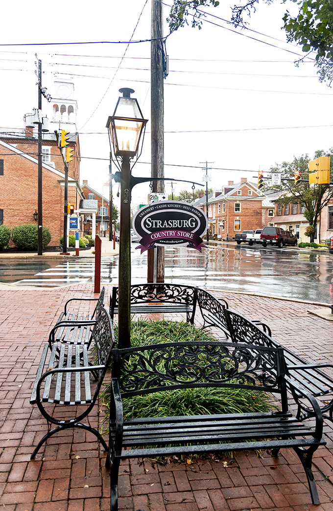 Architectural eye candy! This magnificent brick building with its distinctive white tower has witnessed centuries of Strasburg life unfolding below.