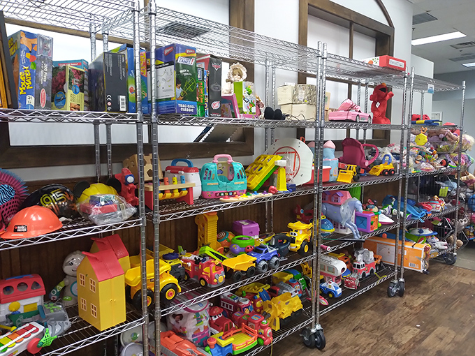 Toy story indeed! These plastic heroes and playsets await their next adventure. One child's outgrown treasure becomes another's new obsession.